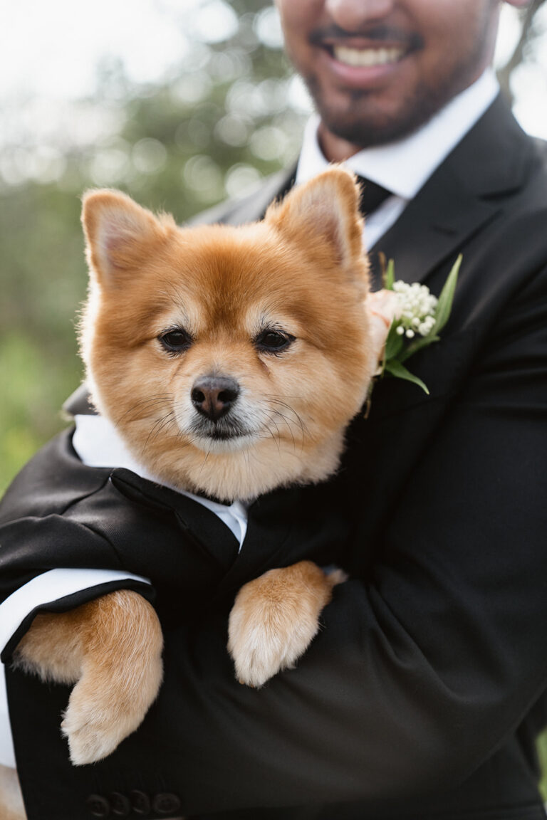 Ideas & Inspo for Including Your Pets in Your Wedding | Brontë Bride